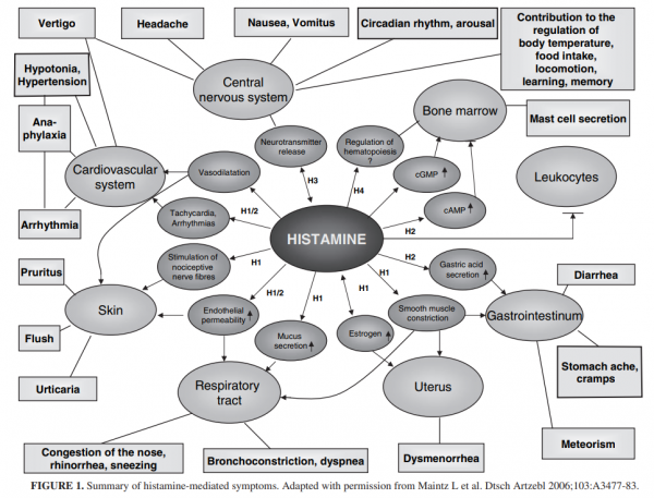 MCAS and histamine intolerance - Long Haul Wiki